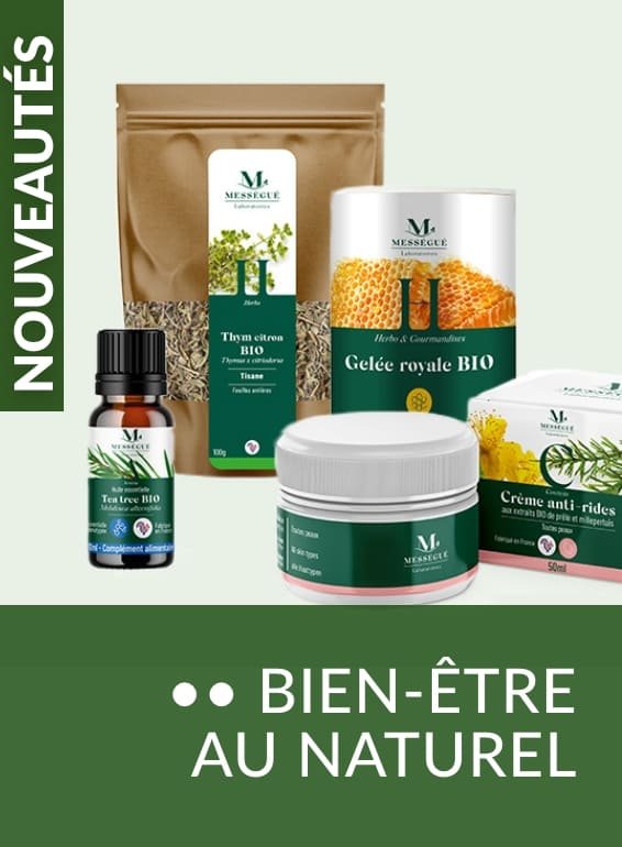 Afibel - Nos Services